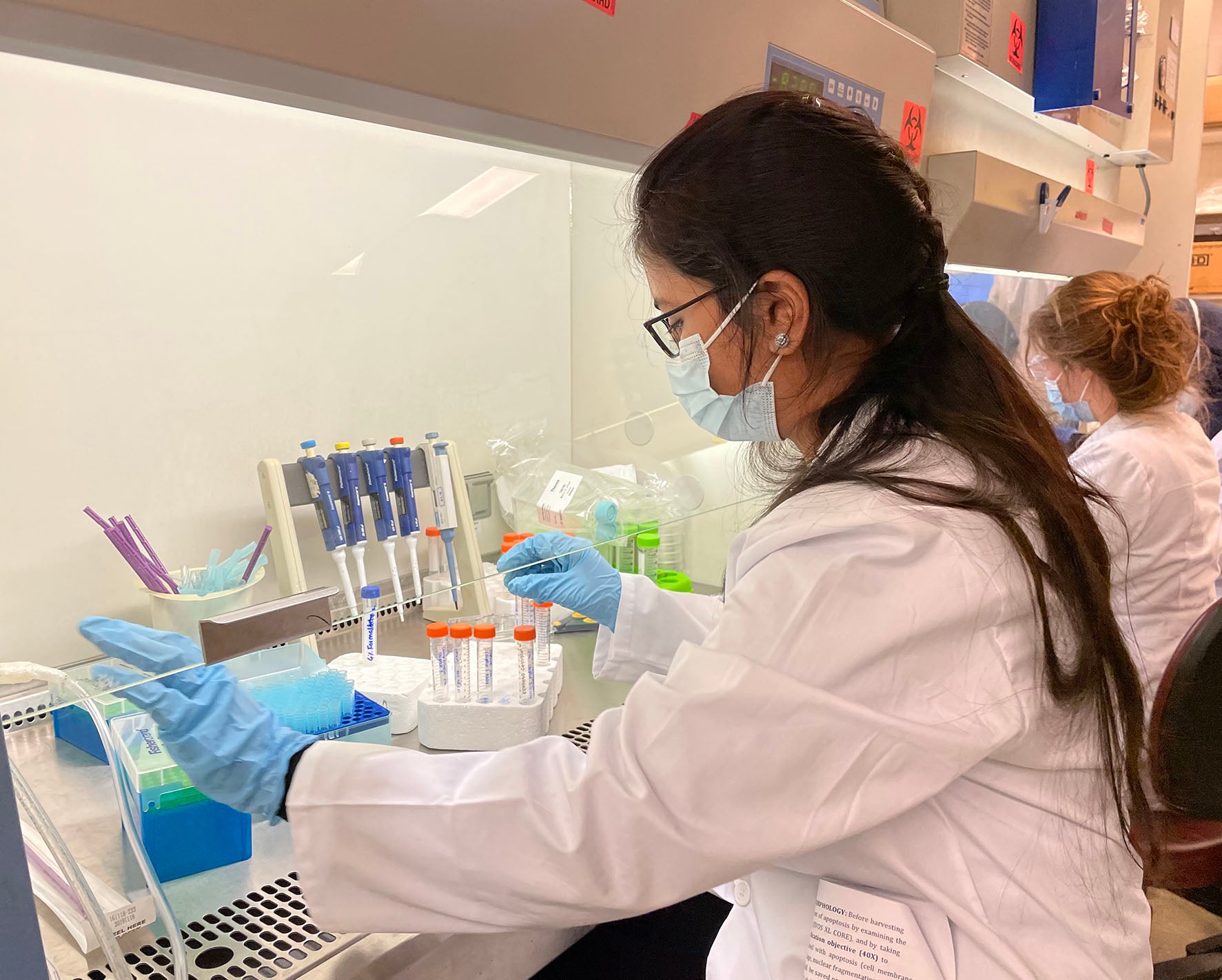 Research Opportunities | Master of Science in Biochemistry & Molecular ...